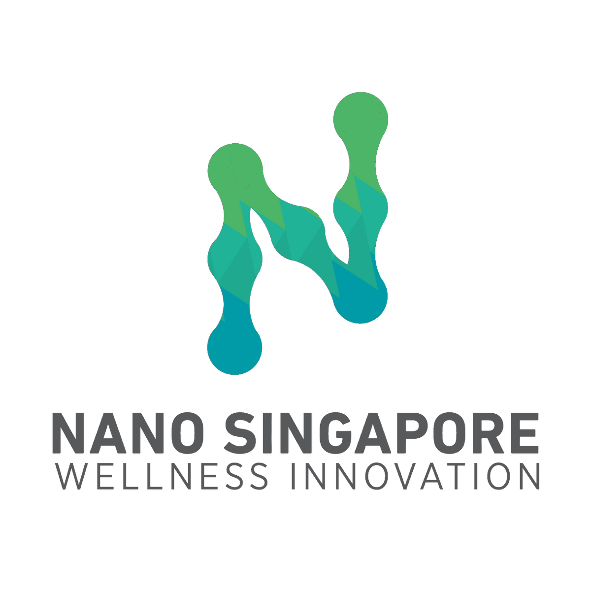 7 Malaysian Fruit: Seasonal Guide and Health Benefits – Nano Singapore MY